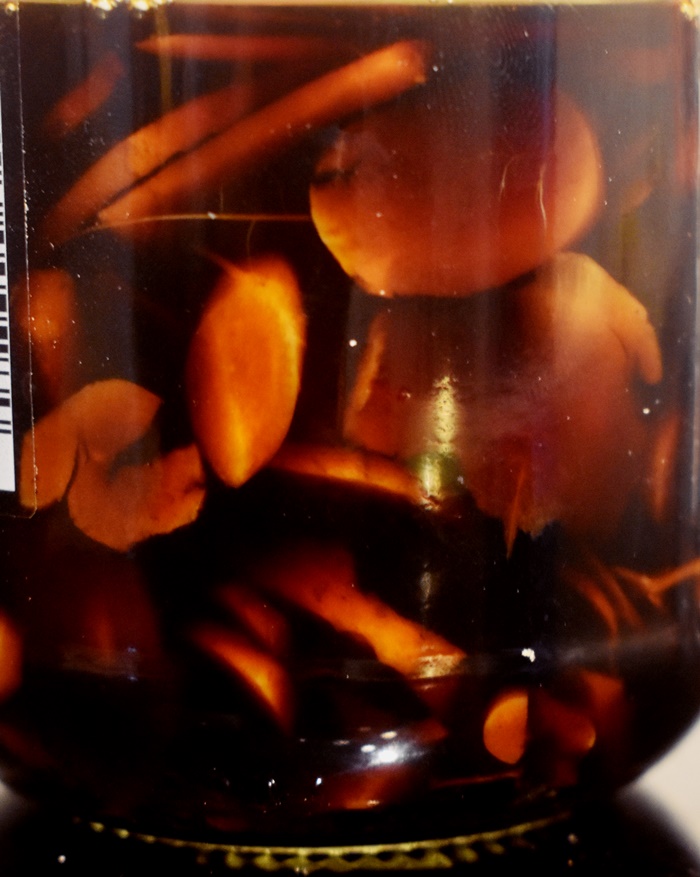 Wild radish root Asian-style pickle – (Fer)mental Greens